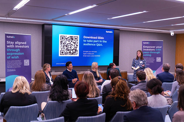 Expert panel on voting delegation: How to prepare for the future